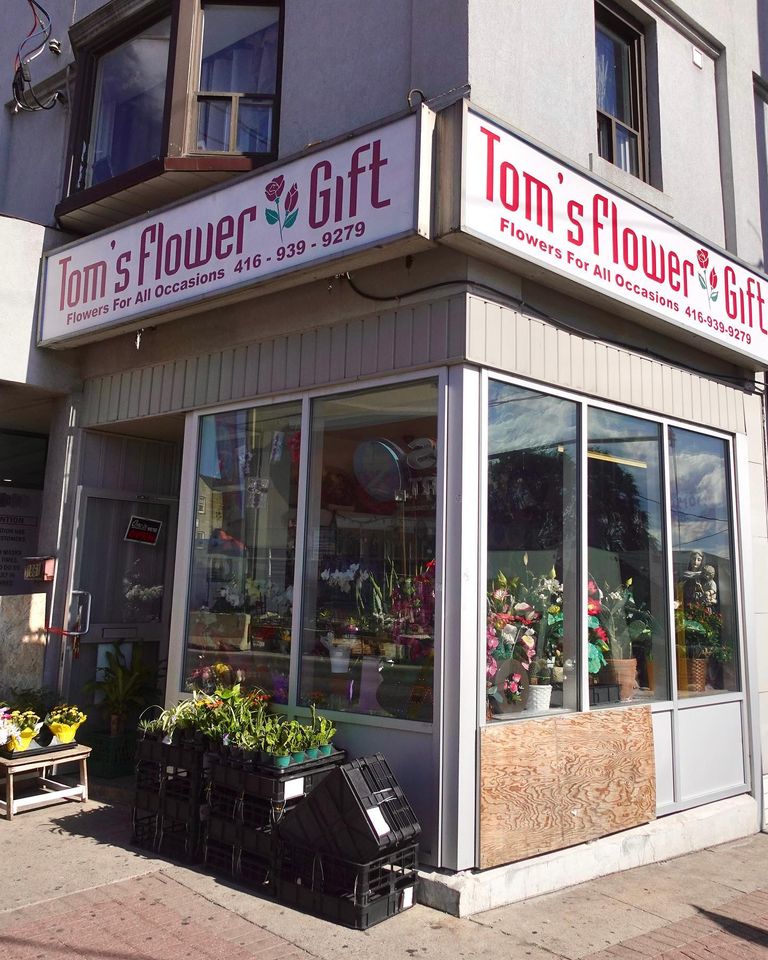 Tom's Flowers